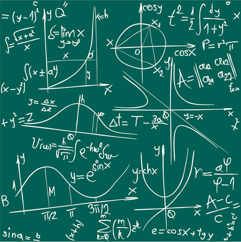 Brooklyn Student Says Math Skills Are Important Voxitatis Blog